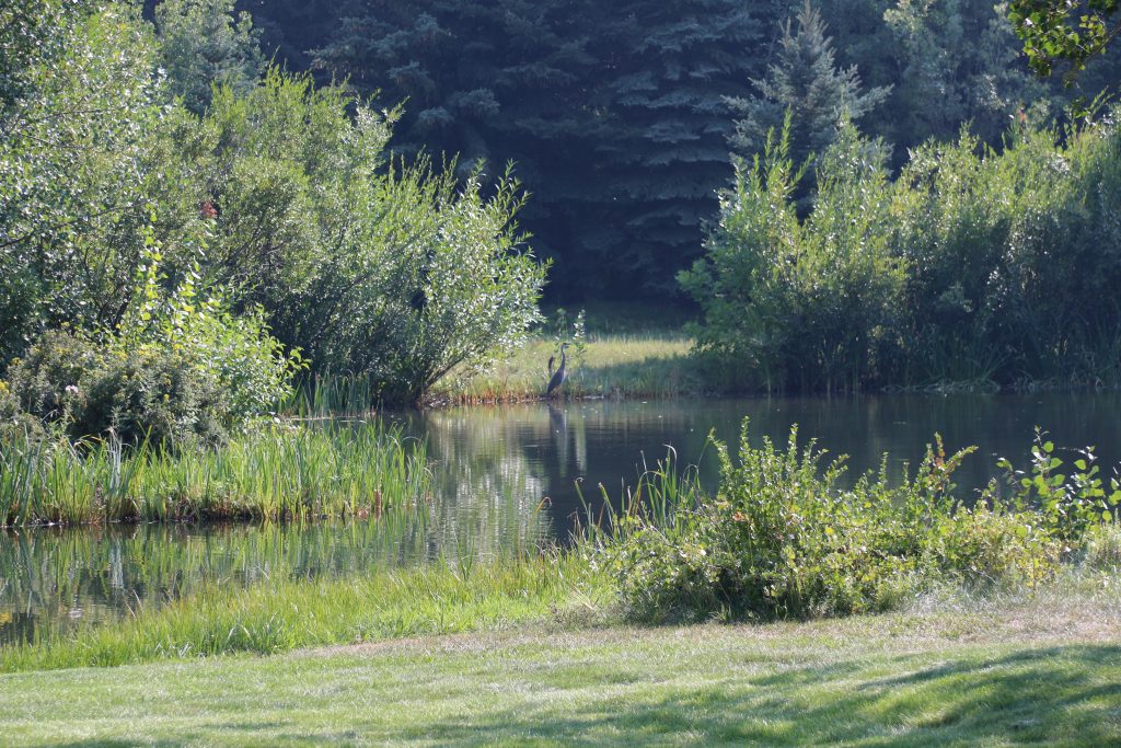 Barber Pool Master Planning - Idaho Foundation for Parks and Lands